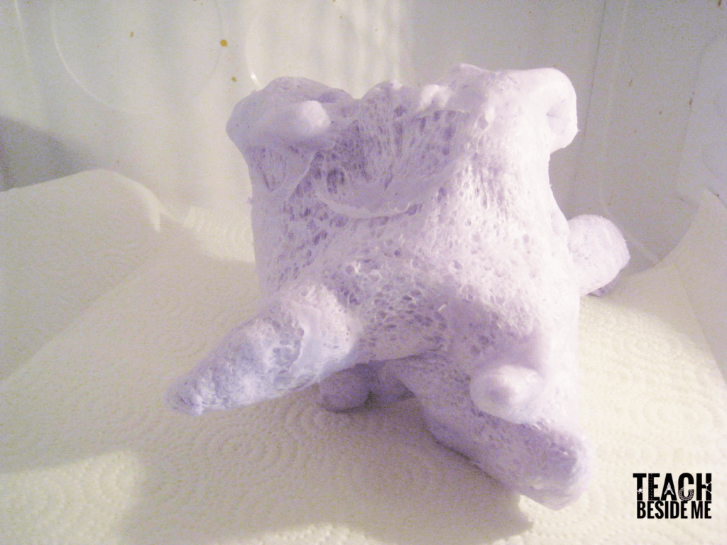 Microwave Soap Science Experiment - Teach Beside Me