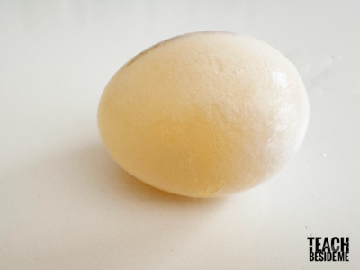 The Rubber Egg Science Experiment - Teach Beside Me