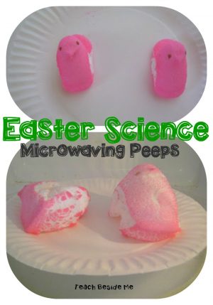 Ducks or Rabbits? Spring Illusion Craft - Teach Beside Me