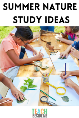 Homeschooling Archives - Teach Beside Me