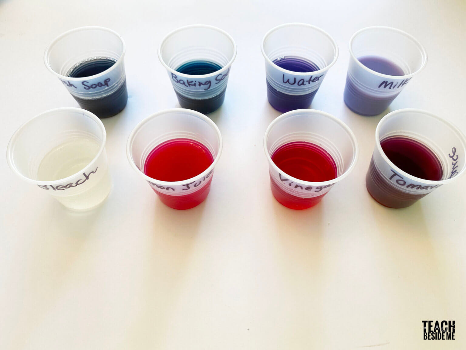 Acid Base Cabbage Juice Science Experiment - Teach Beside Me