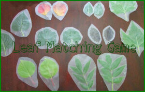Nature Hunt~ Leaf Matching Game - Teach Beside Me