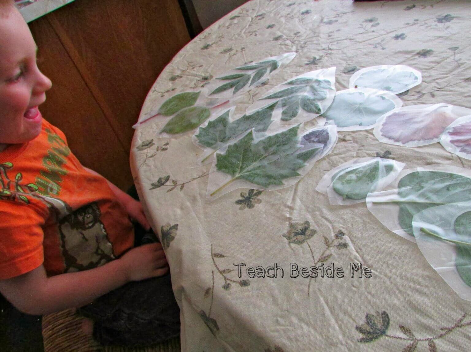 Nature Hunt~ Leaf Matching Game - Teach Beside Me