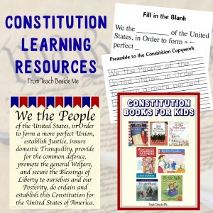 Constitution Learning Resources - Teach Beside Me