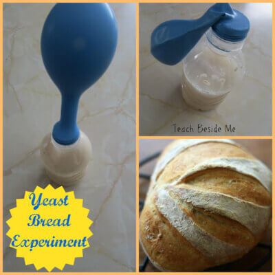 Fun Food Science Activity for Kids: Bread in a Bag Experiment - Teach ...
