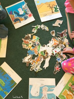 Explore Animal Habitats: Printable Sorting Mats - Teach Beside Me