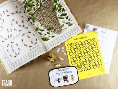 All About Honey Bees Lesson for Kids - Teach Beside Me