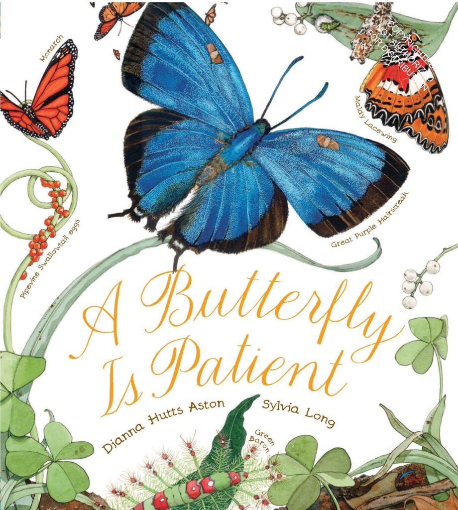 Flapping Paper Butterfly Craft - Teach Beside Me