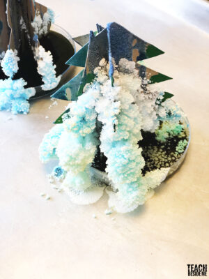 Christmas Science: How to Grow a Crystal Christmas Tree - Teach Beside Me