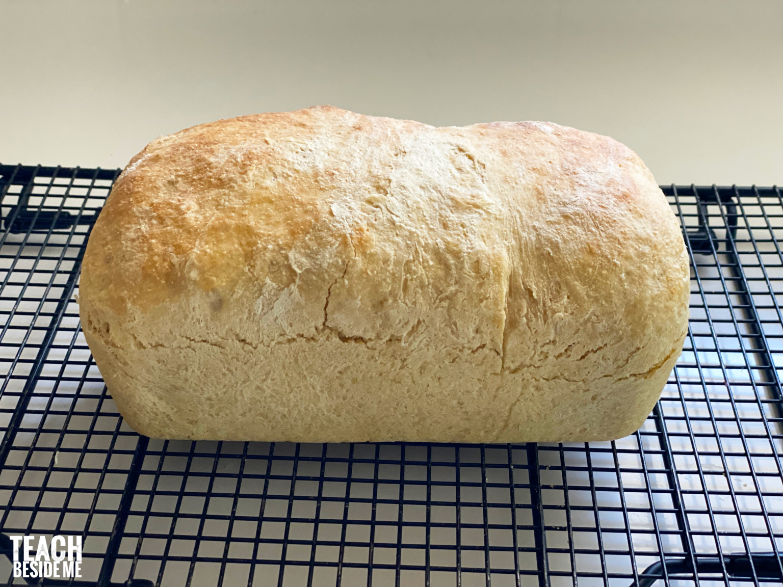 Fun Food Science Activity for Kids: Bread in a Bag Experiment - Teach ...