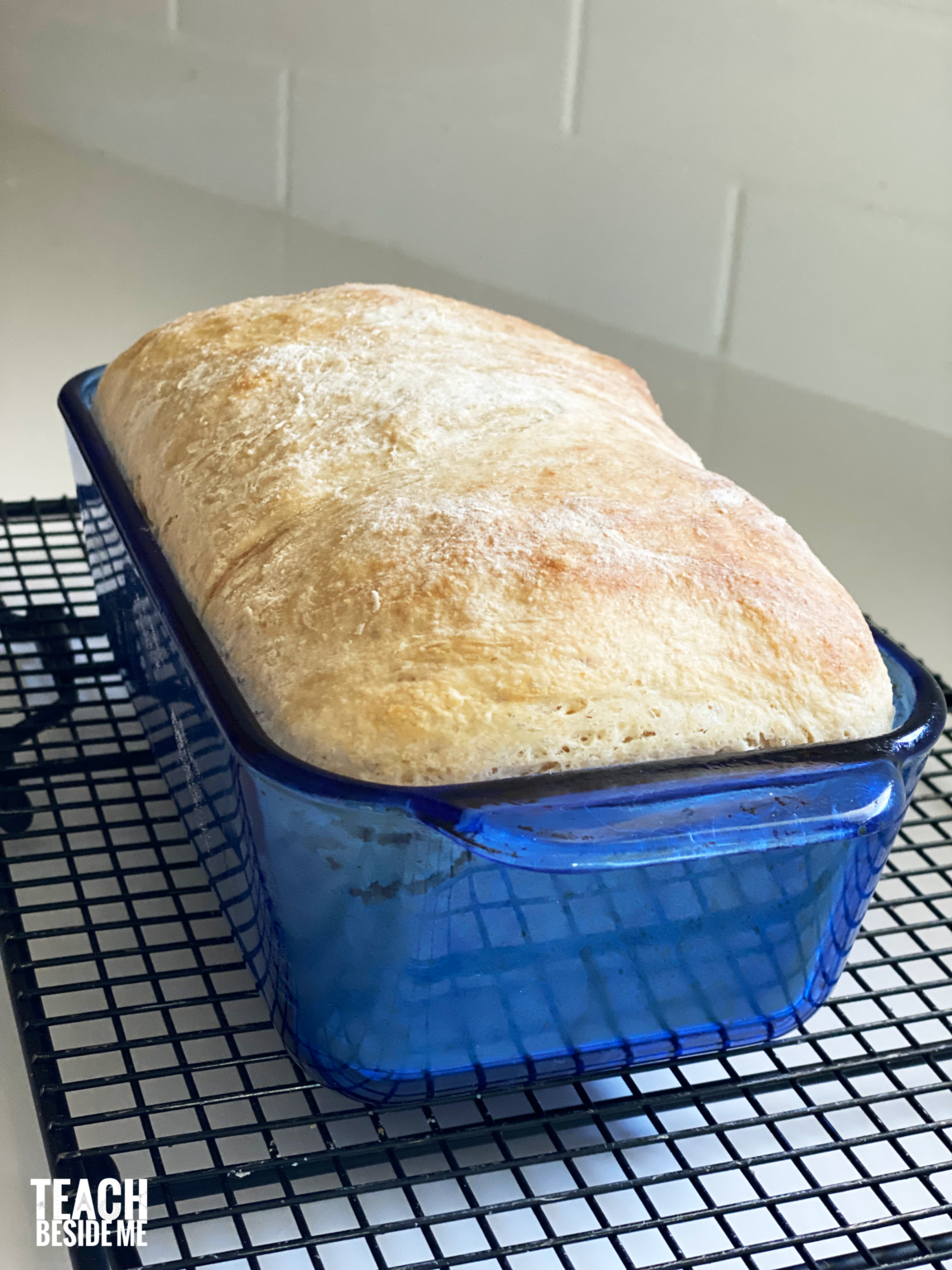 Fun Food Science Activity for Kids: Bread in a Bag Experiment - Teach ...