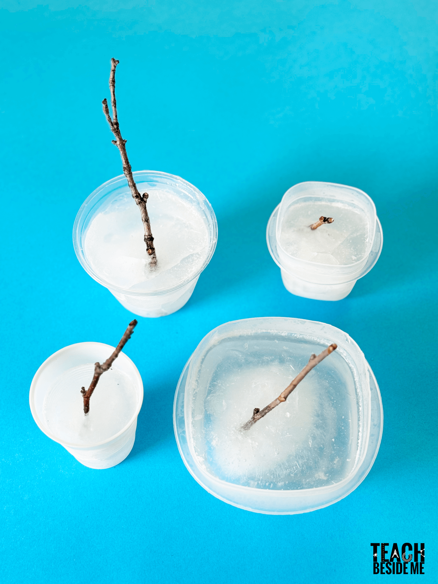 Why Does Ice Float? Ice Boat Science for Kids - Teach Beside Me