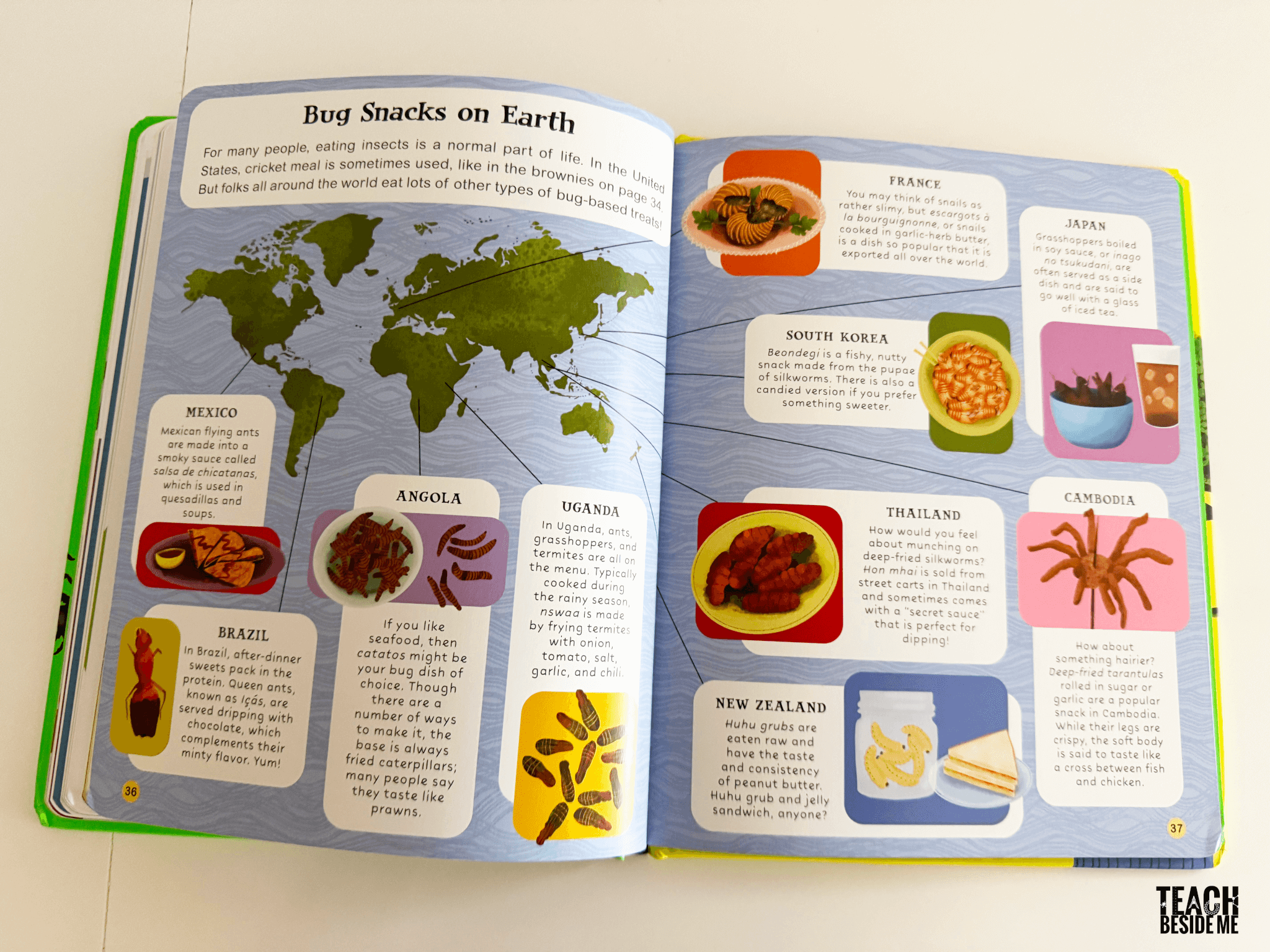 Why Do People Eat Insects? Plus a Cricket Taste Test! - Teach Beside Me