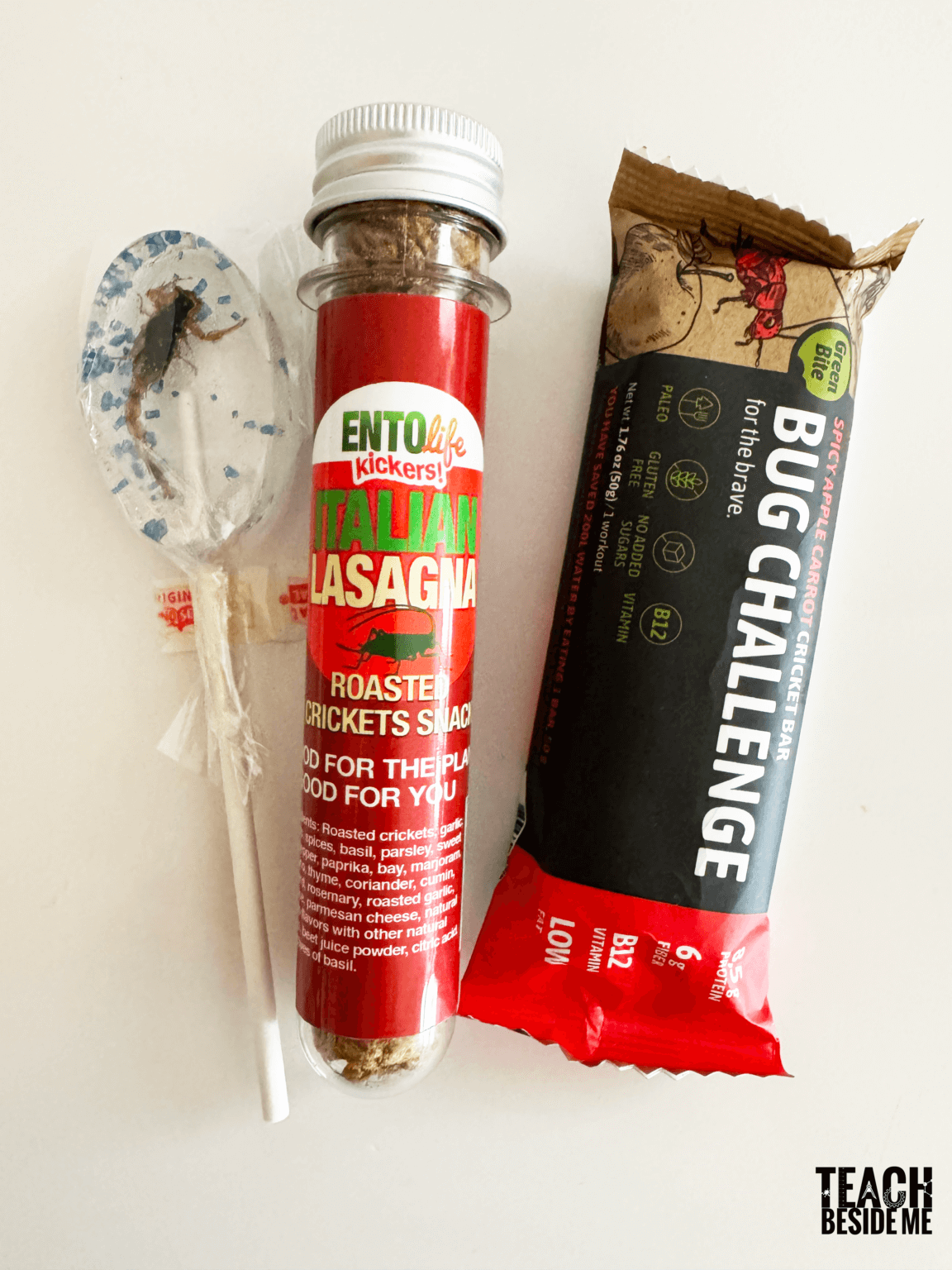Why Do People Eat Insects? Plus a Cricket Taste Test! - Teach Beside Me
