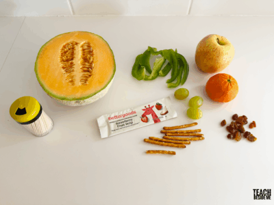 Edible Animal Cell Model (Made from a Cantaloupe!) - Teach Beside Me