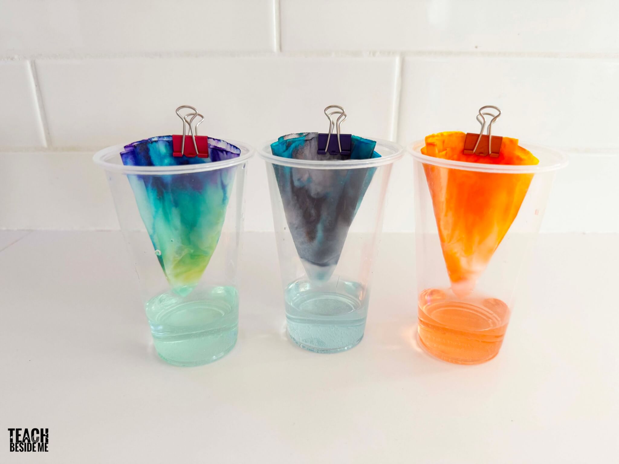 Science Art: Chromatography Coffee Filter Flowers - Teach Beside Me
