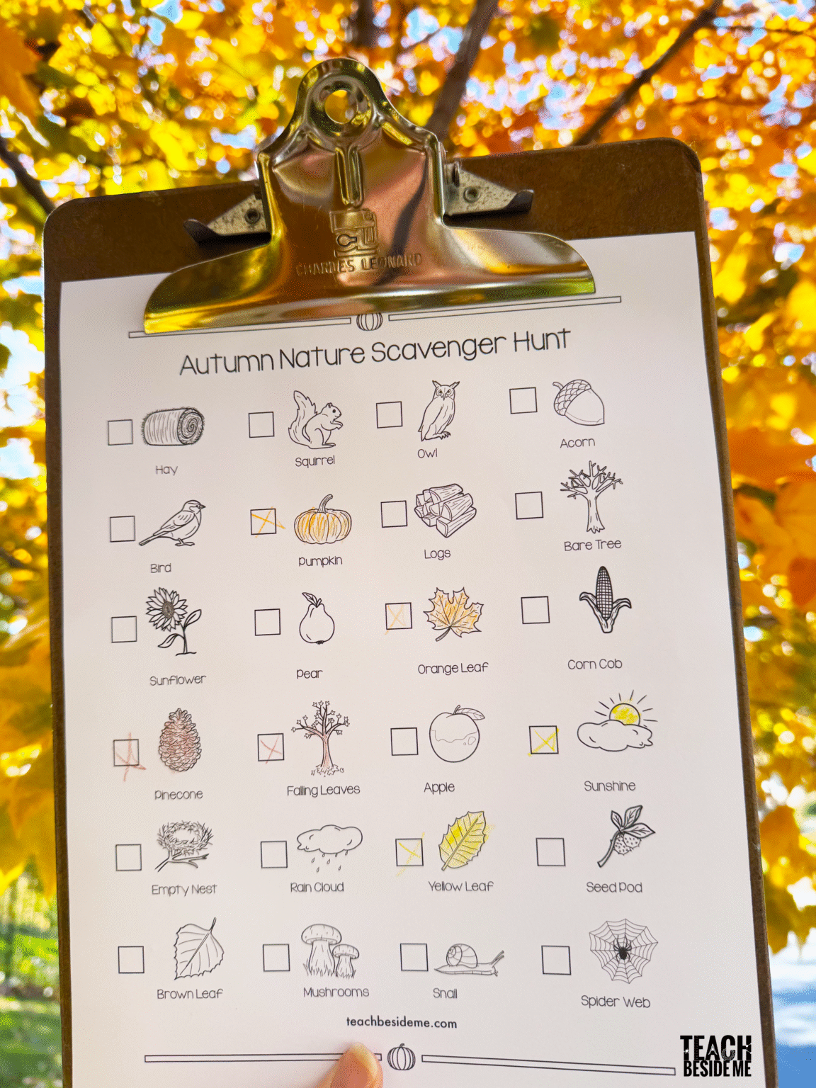 Autumn Nature Scavenger Hunt for Kids: Free Printable - Teach Beside Me
