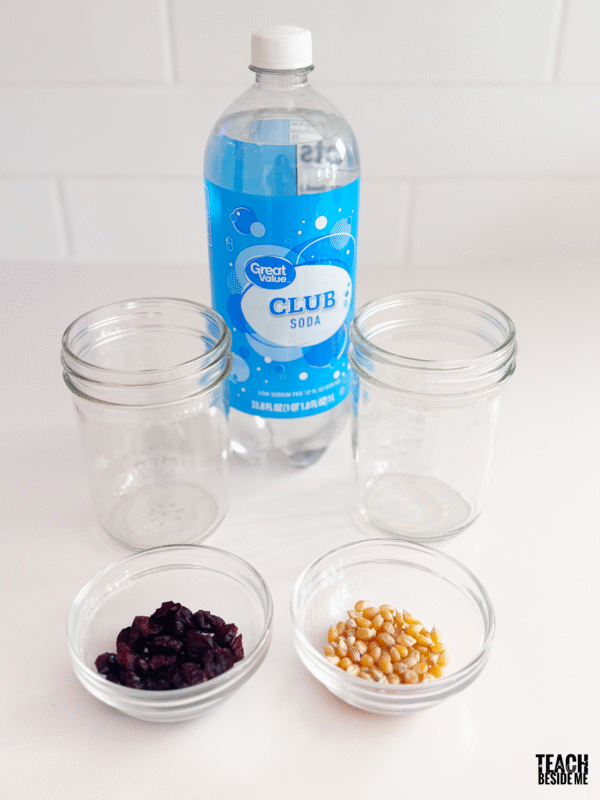 Dancing Popcorn + Dancing Cranberries Thanksgiving Science Experiment ...