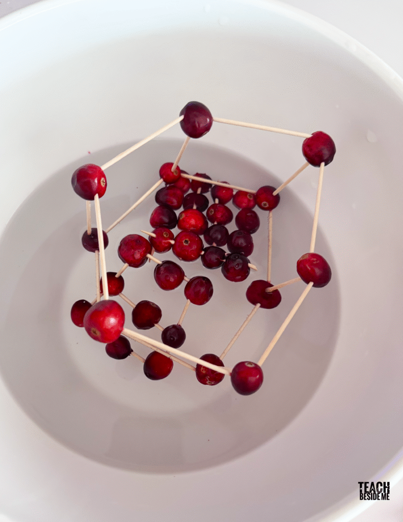 Cranberry & Toothpick STEM Engineering: Build 3D Shapes + Floating ...