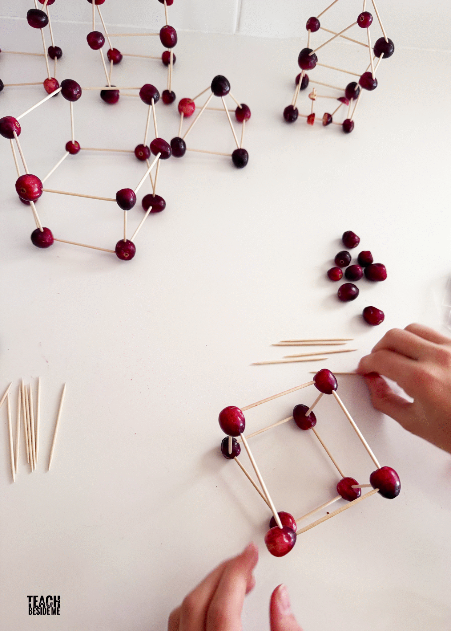 Cranberry & Toothpick STEM Engineering: Build 3D Shapes + Floating ...