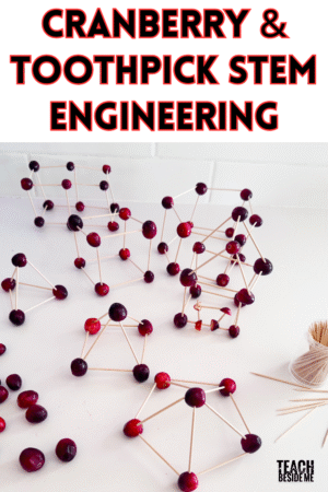Cranberry & Toothpick STEM Engineering: Build 3D Shapes + Floating ...