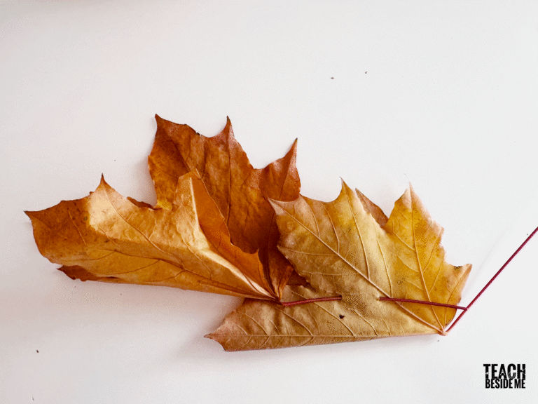 How to Make Leaf Crowns – A Simple Autumn Nature Craft for Kids - Teach ...