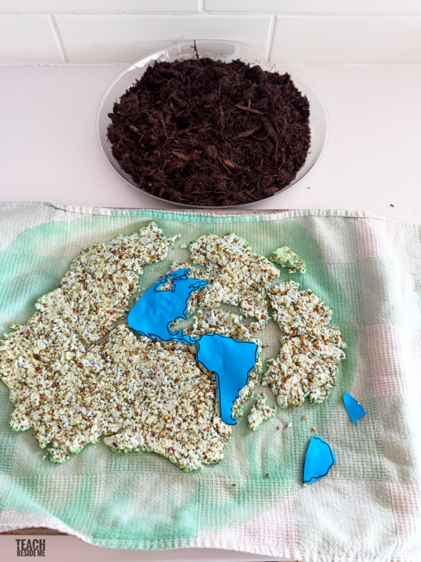 Grow the Earth: Seed Paper Earth Day Craft for Kids - Teach Beside Me