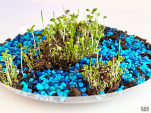 Grow the Earth: Seed Paper Earth Day Craft for Kids - Teach Beside Me