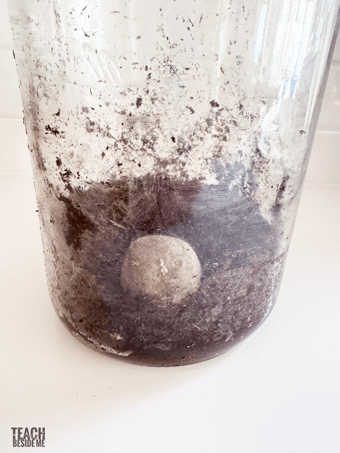 How to Grow Potatoes + Potato Life Cycle Printables - Teach Beside Me